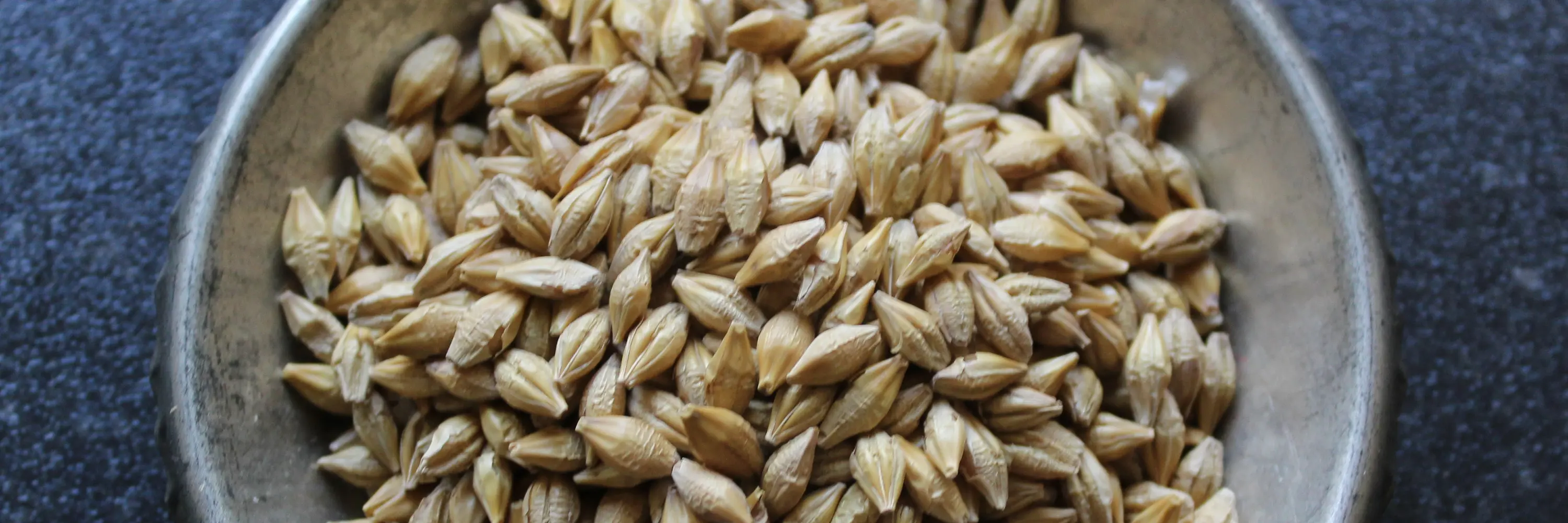 Walnes seeds | Independent agricultural seed specialist