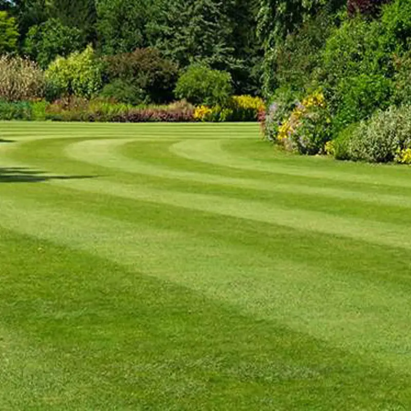 Walnes Seeds | Offering a comprehensive grass seed range